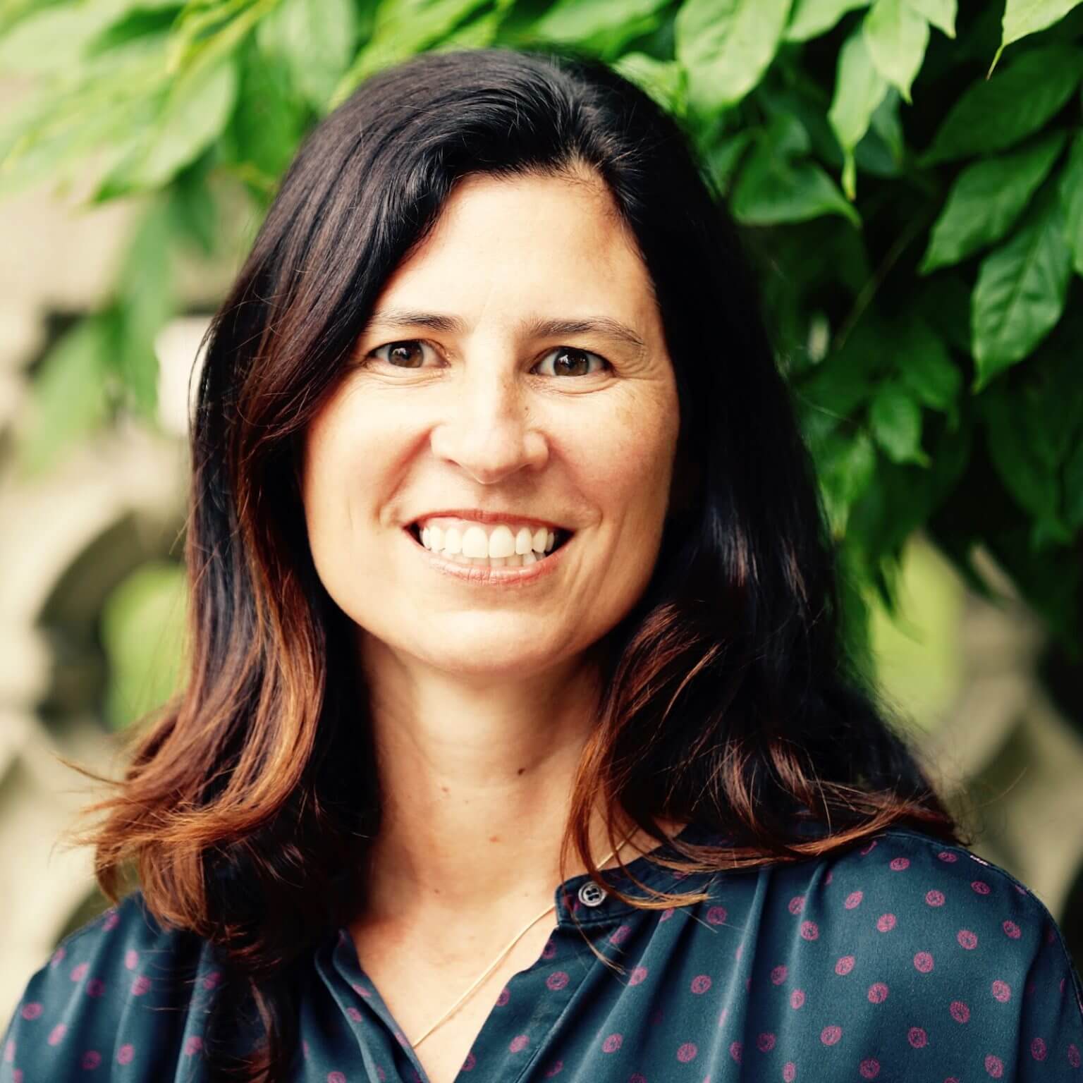 Piedmont Education Foundation Announces 2021-2022 Board of Directors ...